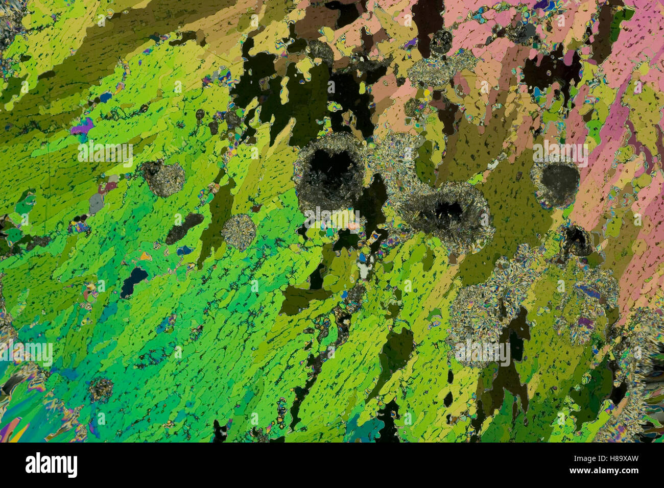 Sample of sea ice core 1 millimeter thick with crystals frozen under ...
