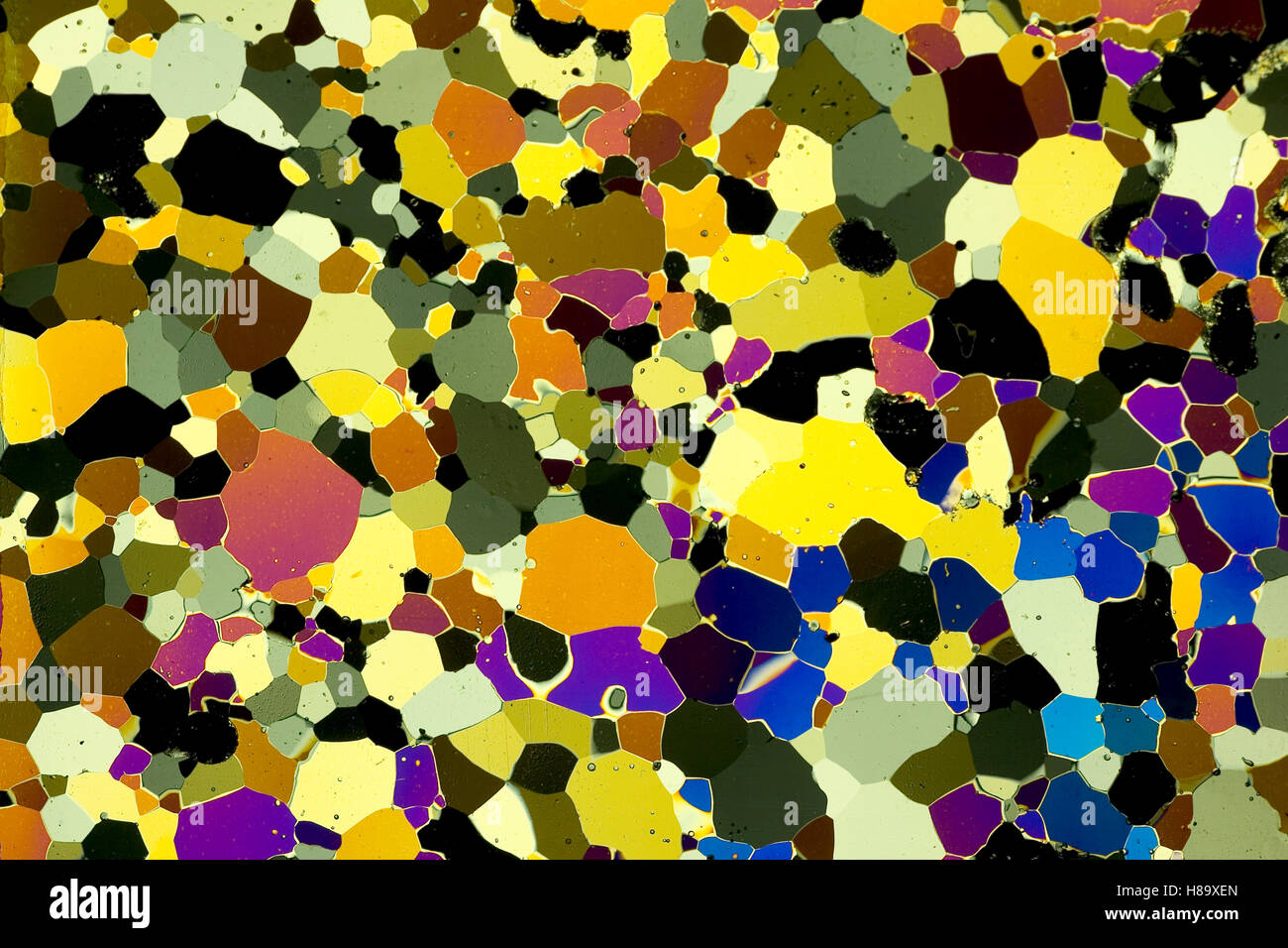 Sea ice core one millimeter thick photographed under polarized light ...