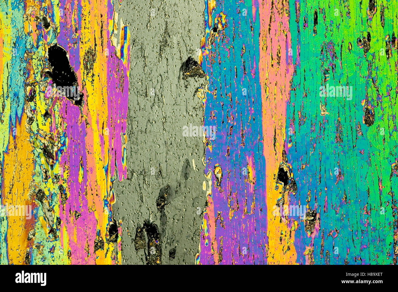 Sea ice core one millimeter thick photographed under polarized light ...