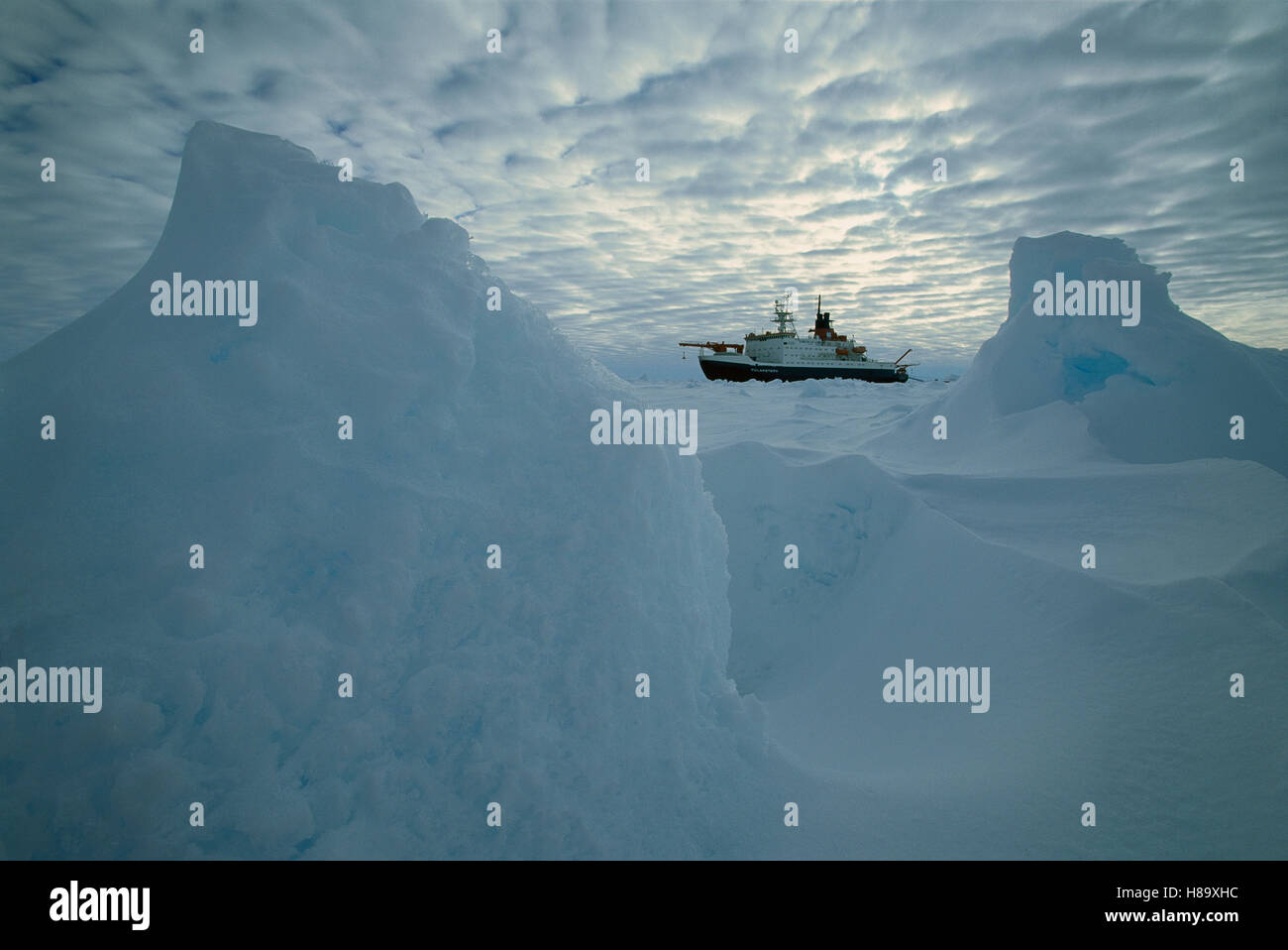 German icebreaker Polarstern, in frozen sea ice, Weddell Sea ...