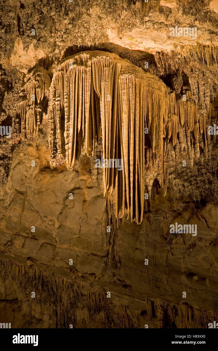 Stalactites in cave, Cacahuamilpa Caverns, Grutas de Cacahuamilpa ...