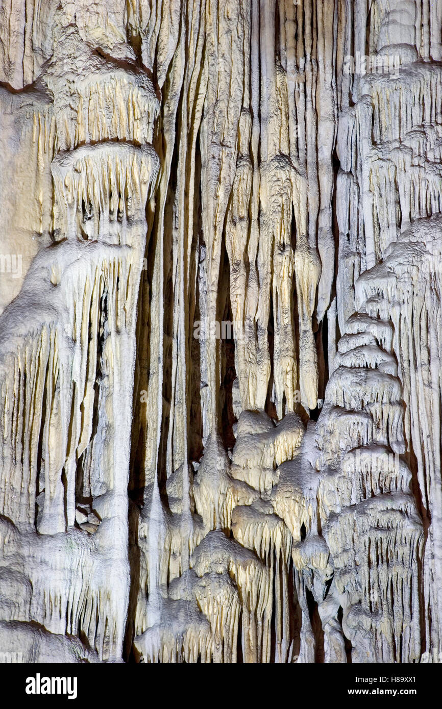 Stalactites in cave, Cacahuamilpa Caverns, Grutas de Cacahuamilpa ...