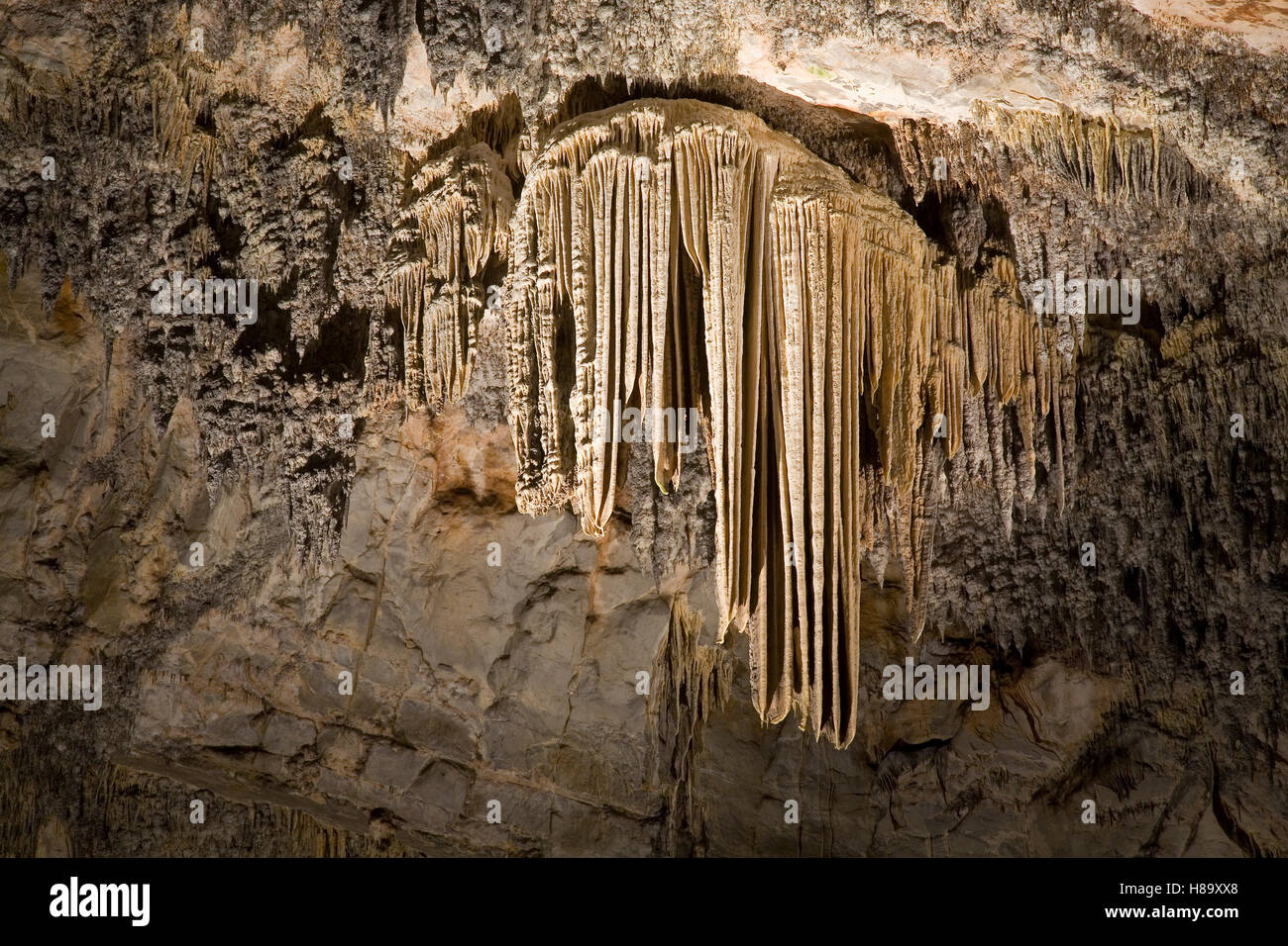 Stalactites in cave, Cacahuamilpa Caverns, Grutas de Cacahuamilpa ...