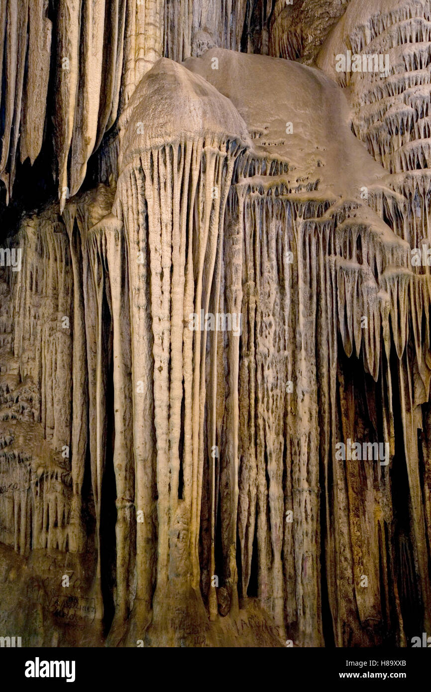 Stalactites in cave, Cacahuamilpa Caverns, Grutas de Cacahuamilpa ...