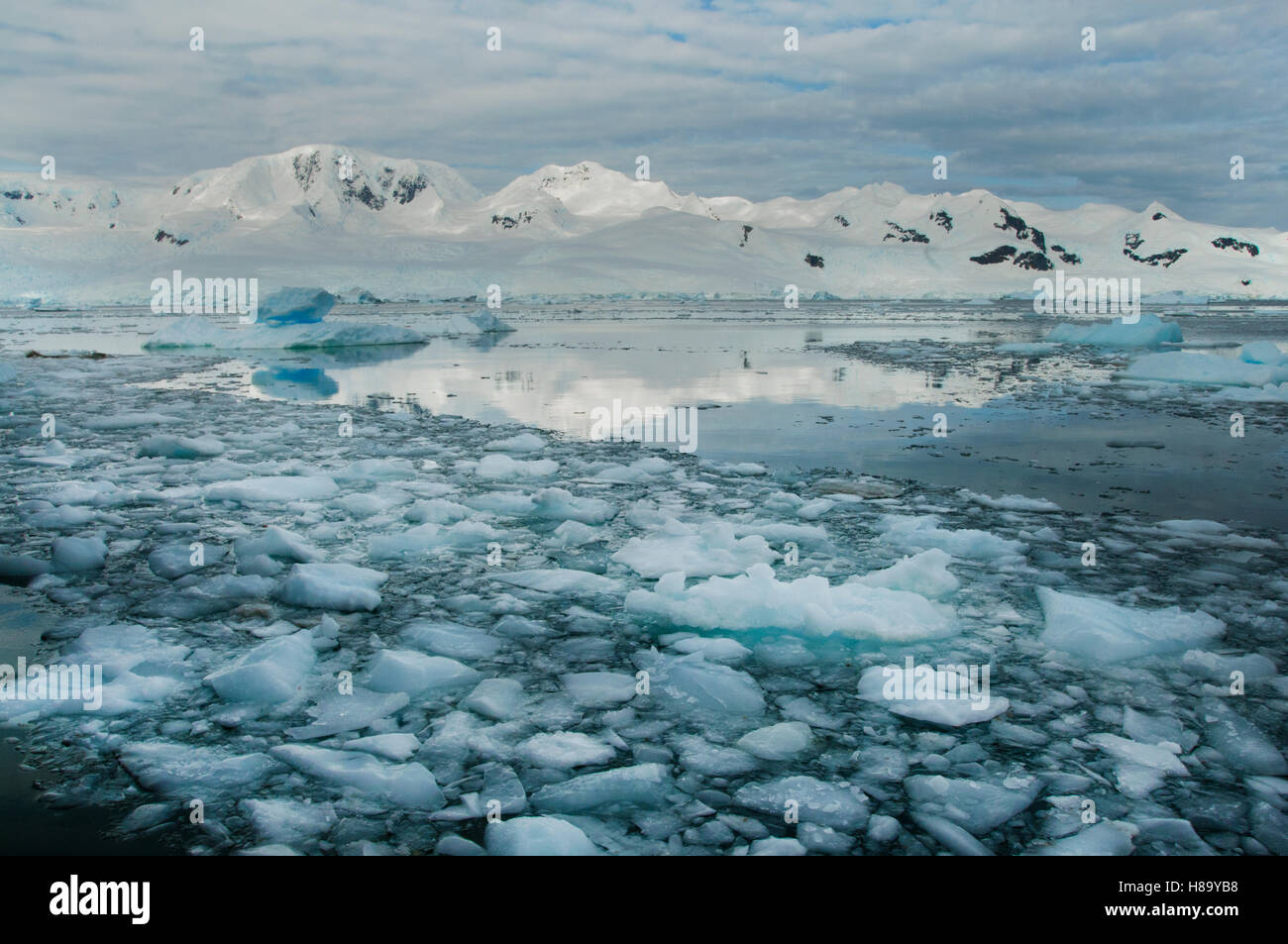 Brash ice and mountains, Neko Harbor, Antarctic Peninsula, Antarctica ...
