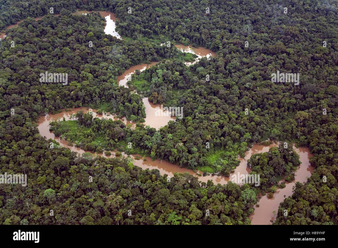 Silt-laden Yavari River winding through rainforest, Amazon Basin, Peru ...