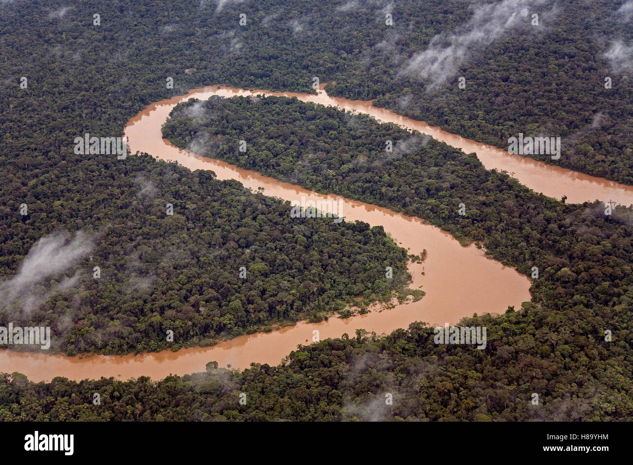 Silt-laden Yavari River winding through the rainforest, Amazon Basin ...