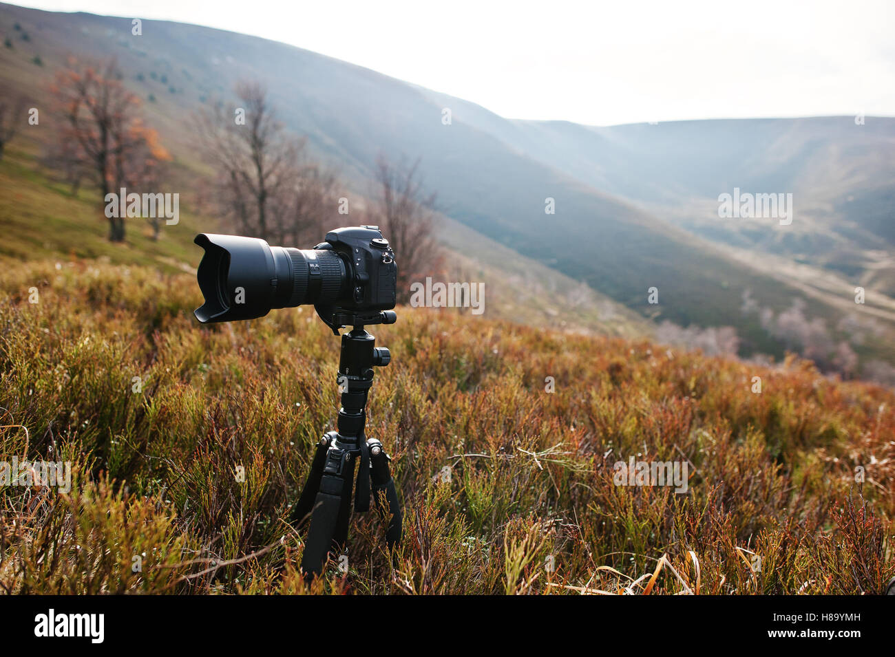 Modern professional dslr camera on a tripod, outdoor photography in ...