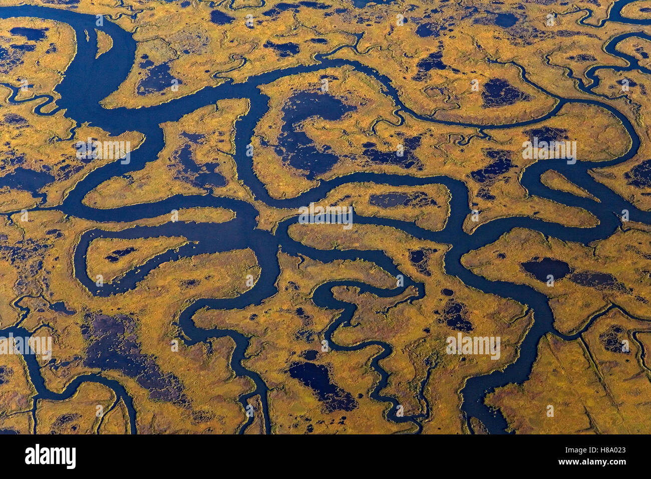 Aerial view of Cape May Peninsula showing rivers and tributaries ...