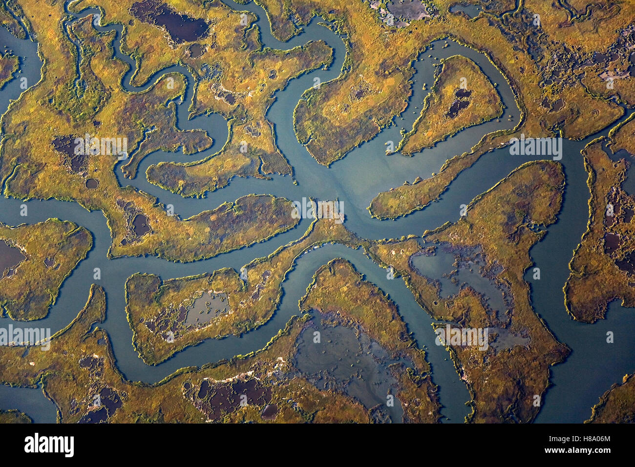 Aerial view of meandering waterways in salt marsh, Cape May Peninsula ...