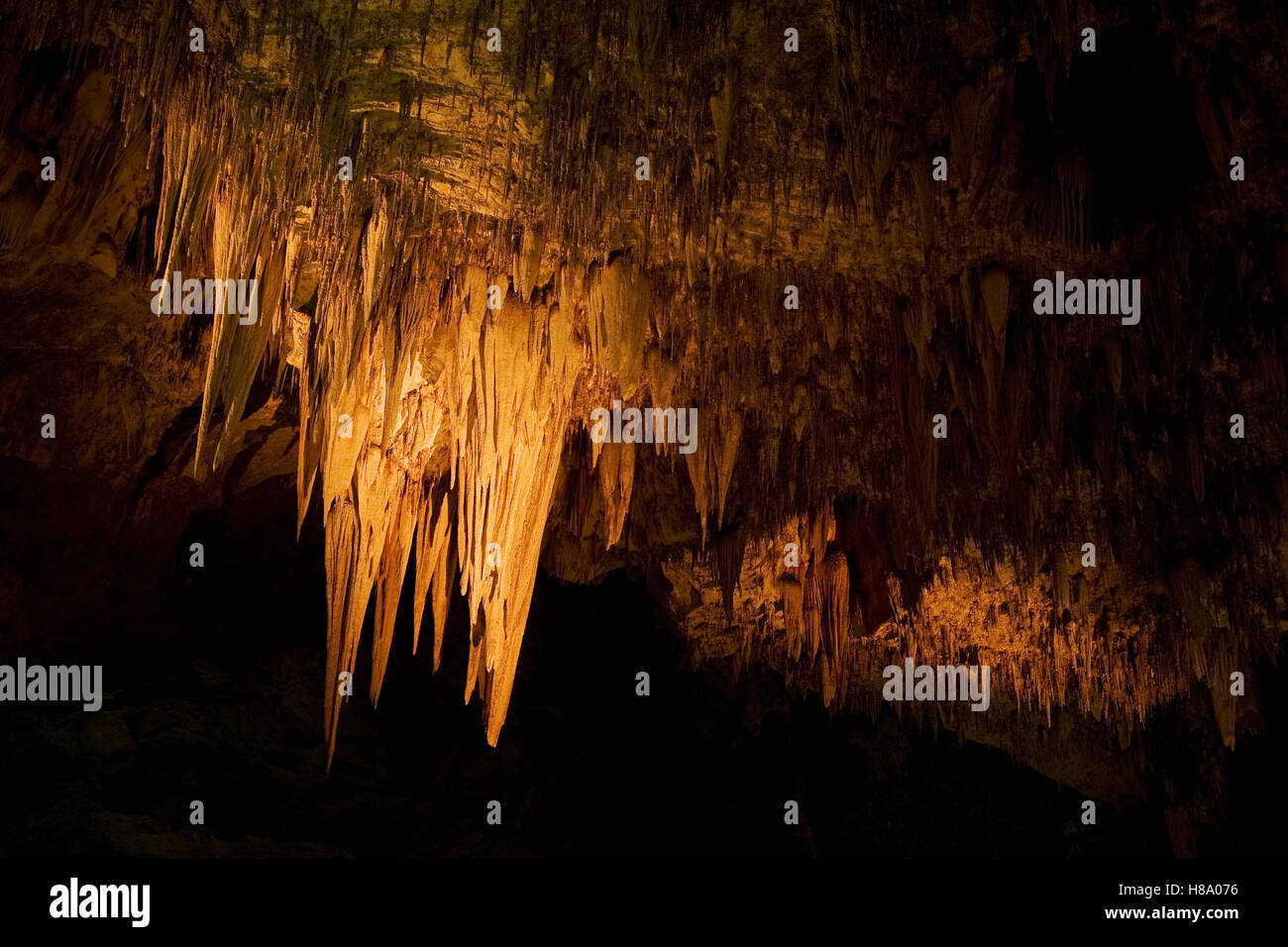 Stalactites, Carlsbad Caverns National Park, New Mexico Stock Photo - Alamy