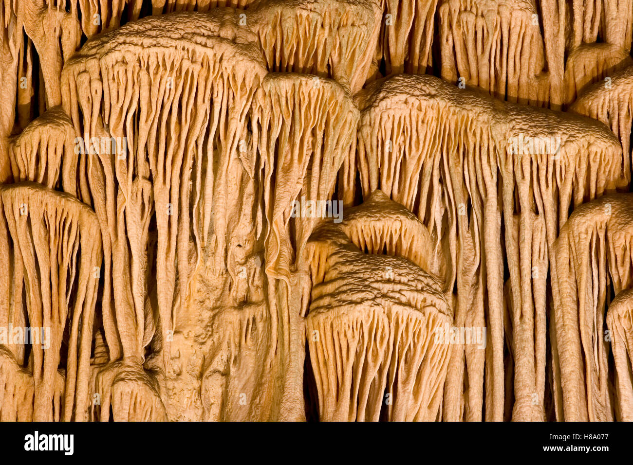 Calcite flowstone formations, Carlsbad Caverns National Park, New ...