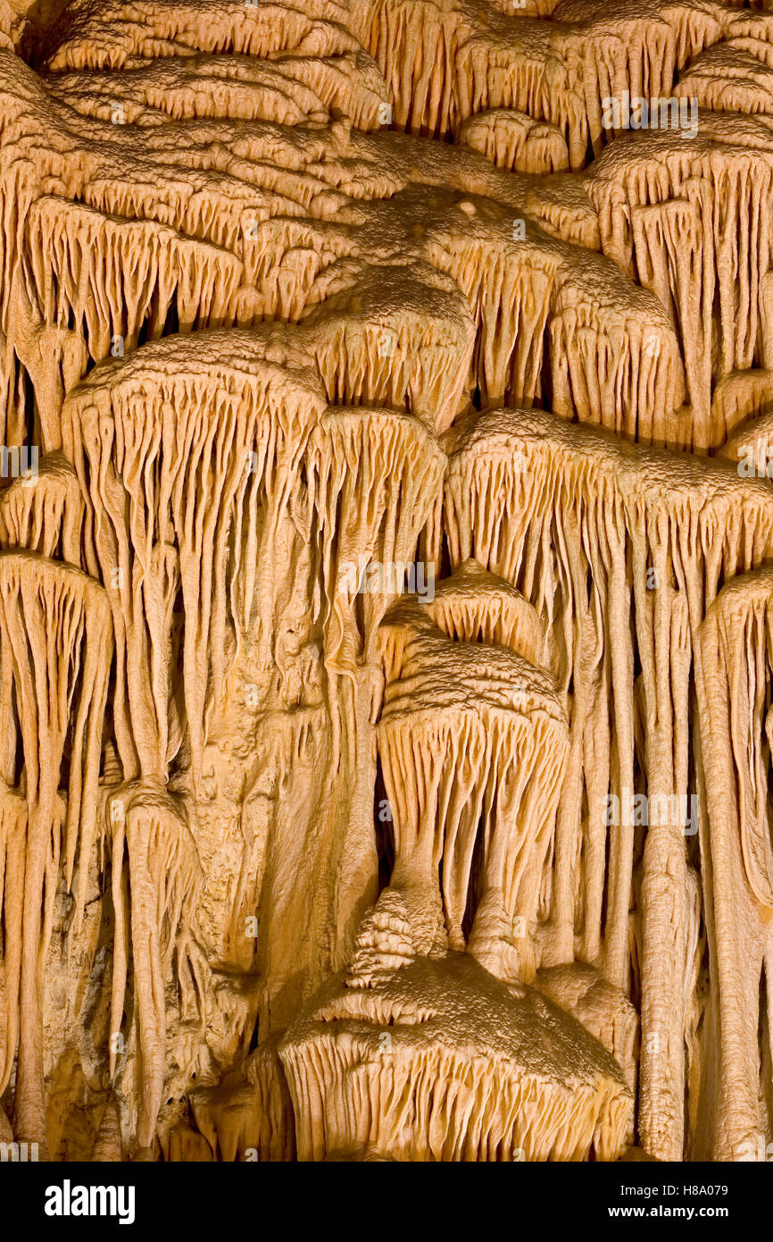 Calcite flowstone formations, Carlsbad Caverns National Park, New ...