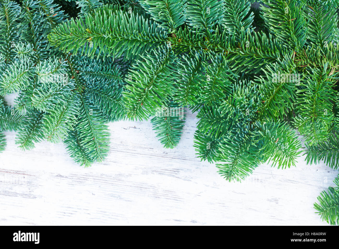 christmas fresh evergreen tree branches Stock Photo - Alamy