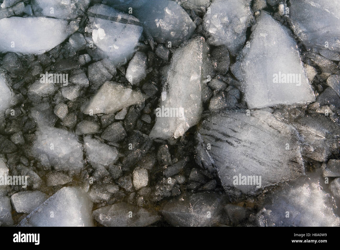 Small ice pieces floating in fjord after collapse of large iceberg ...