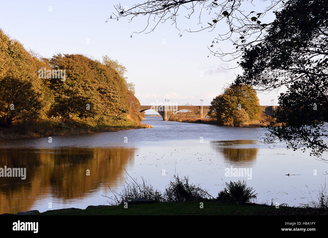 Nature river don scotland hi-res stock photography and images - Alamy