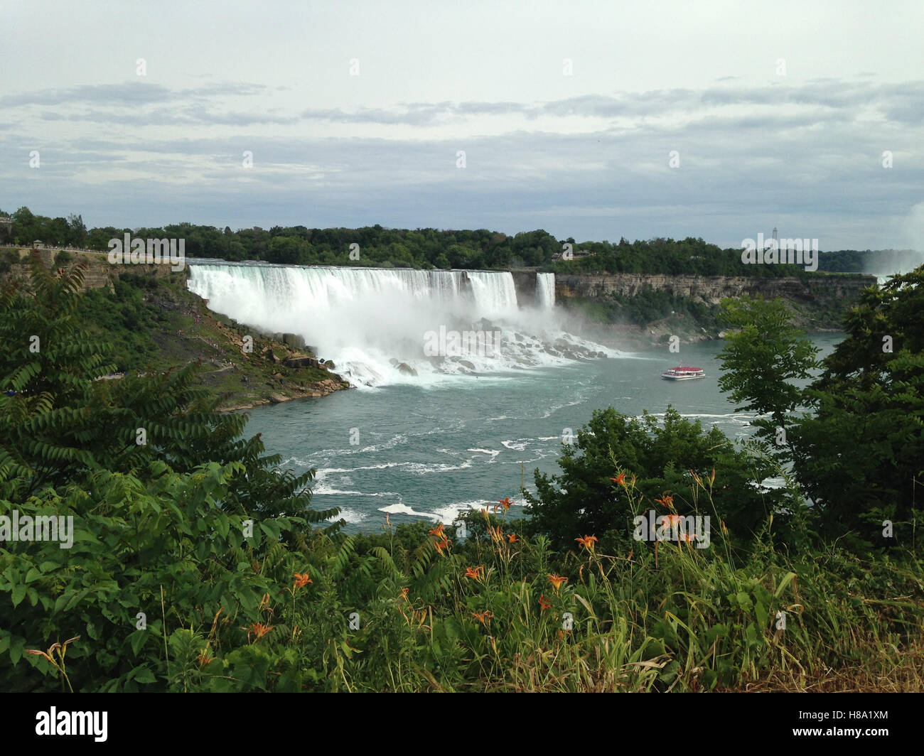 Niagara falls, America, Canada, nature, water, background, jungle ...
