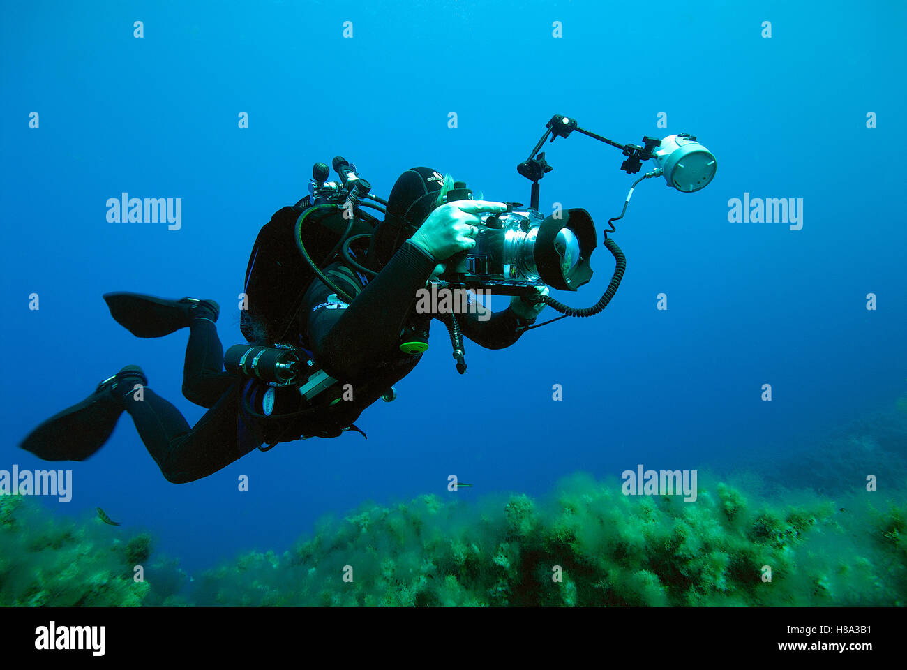 Underwater photographer with camera and flash, Mediterranean Stock ...