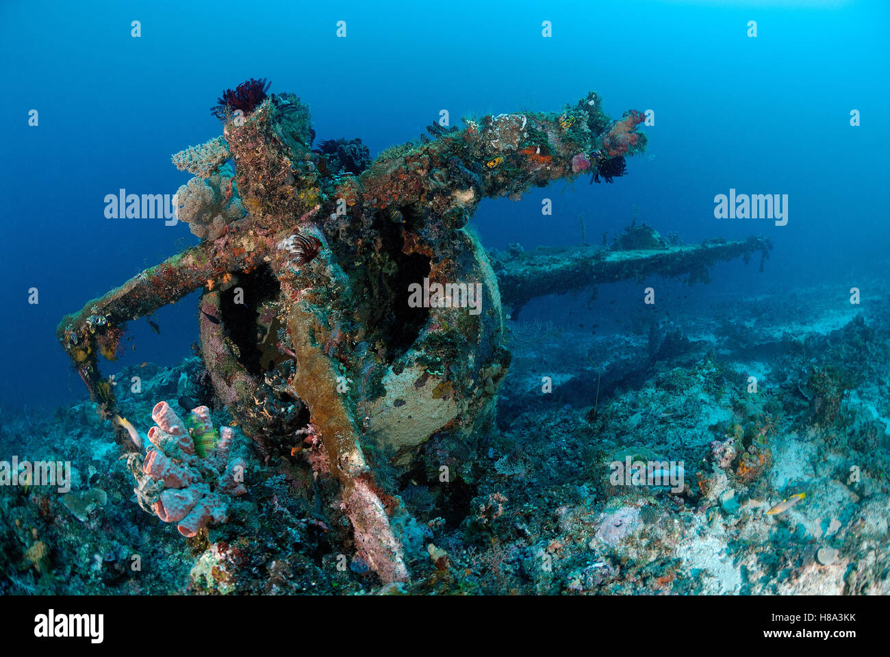 Underwater remains of crashed airplane, Indonesia Stock Photo - Alamy Underwater remains of crashed airplane, Indonesia Stock Photo - Alamy