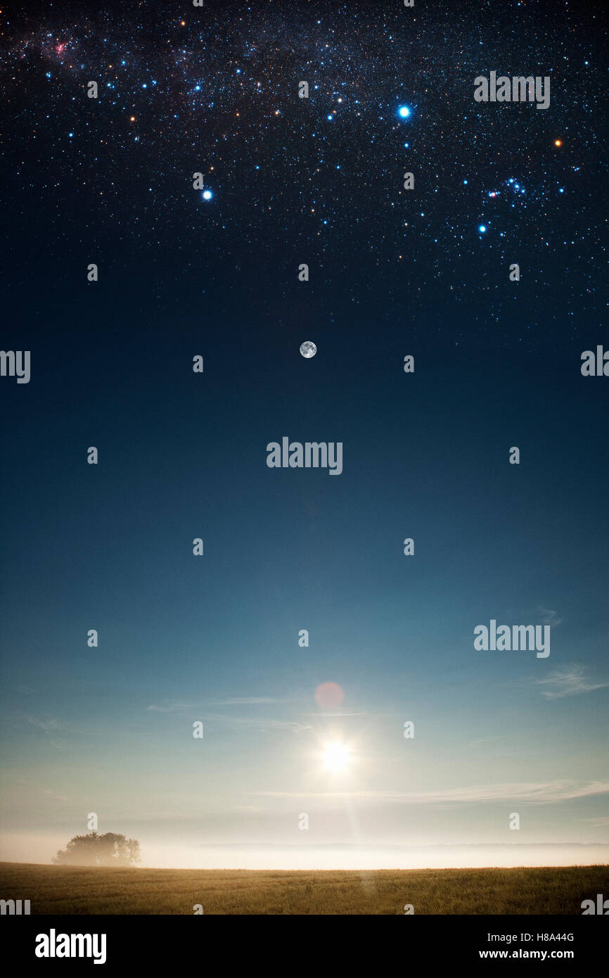 field at dawn showing the cosmos Stock Photo - Alamy