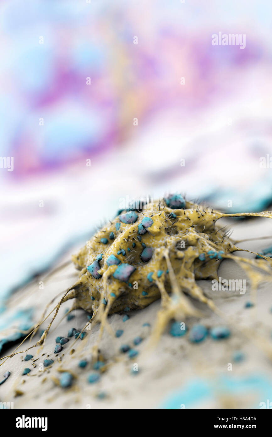 Cancer cell hi-res stock photography and images - Alamy