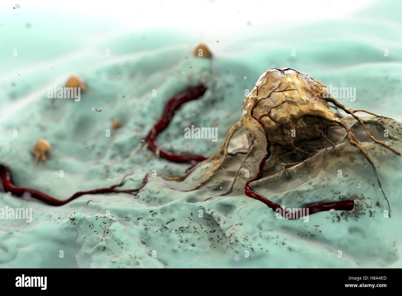 Close up view of a single cancer cell Stock Photo - Alamy