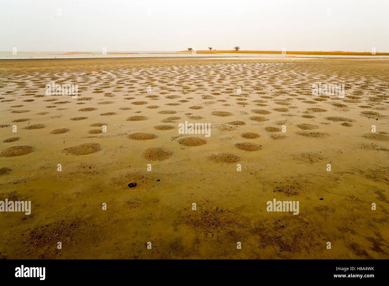 Sua Pan, Makgadikgadi, Botswana Stock Photo - Alamy