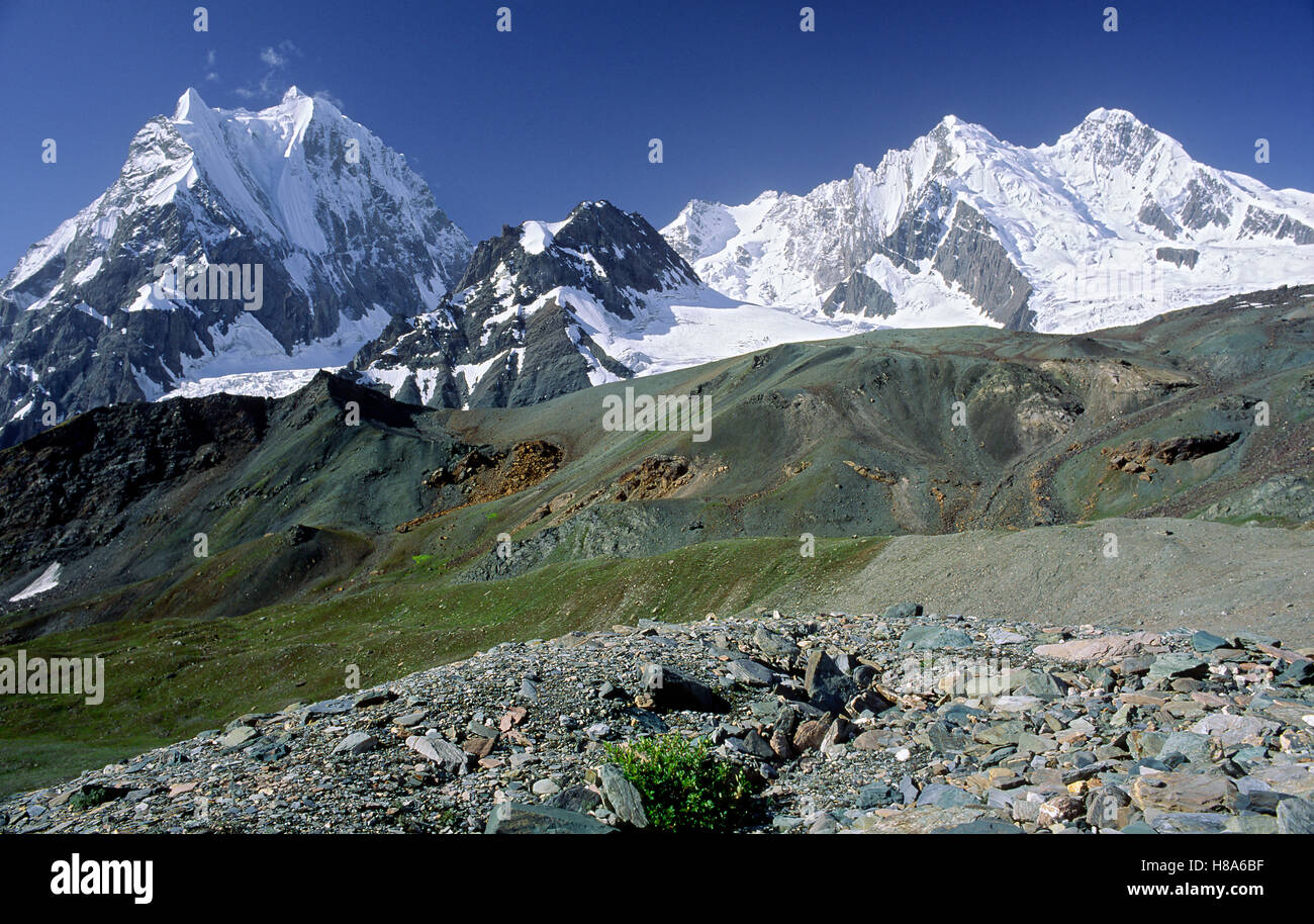 Shani Peak (5887m), Naltar Valley, Karakoram, Pakistan Stock Photo - Alamy