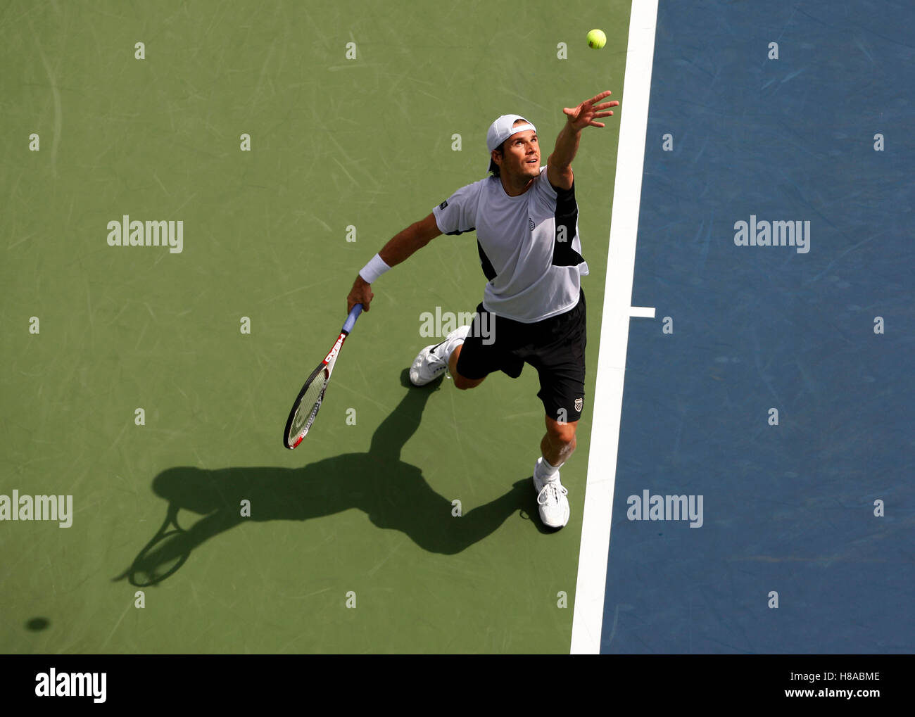 Sporting birds hi-res stock photography and images - Alamy