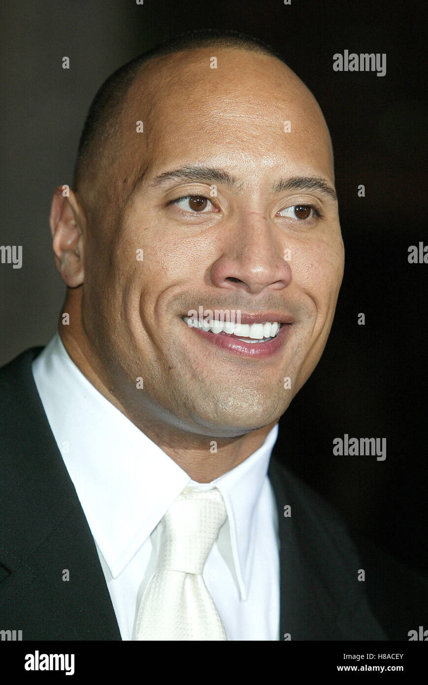Dwayne The Rock Johnson The Rundown