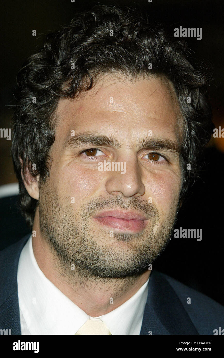 MARK RUFFALO IN THE CUT LA FILM PREMIERE ACADEMY OF MOTION PICTURES ...
