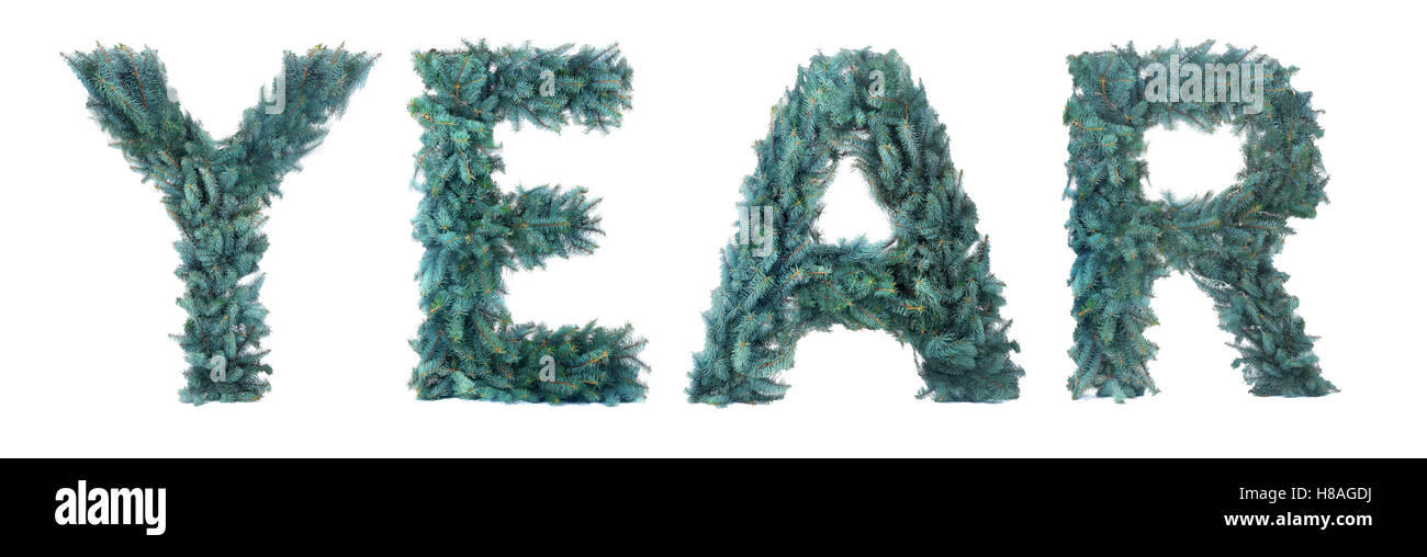 word year from fir-tree Stock Photo - Alamy
