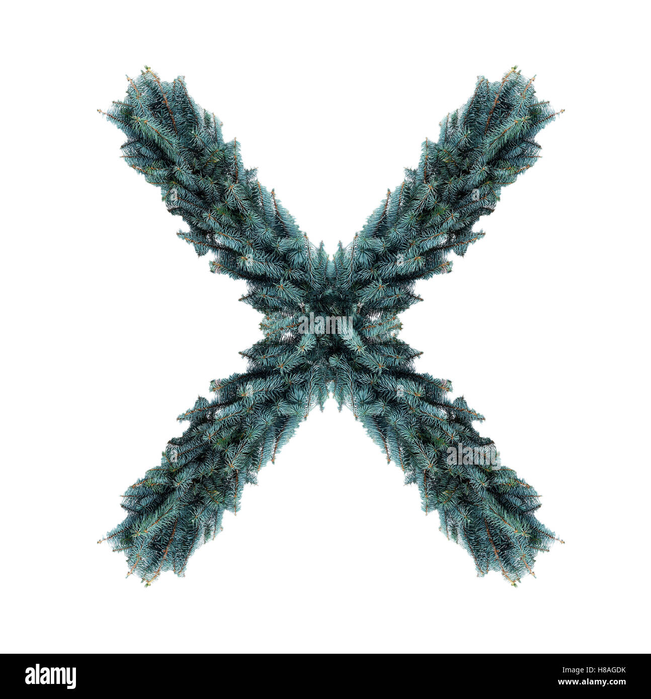 symbols from fir-tree Stock Photo - Alamy