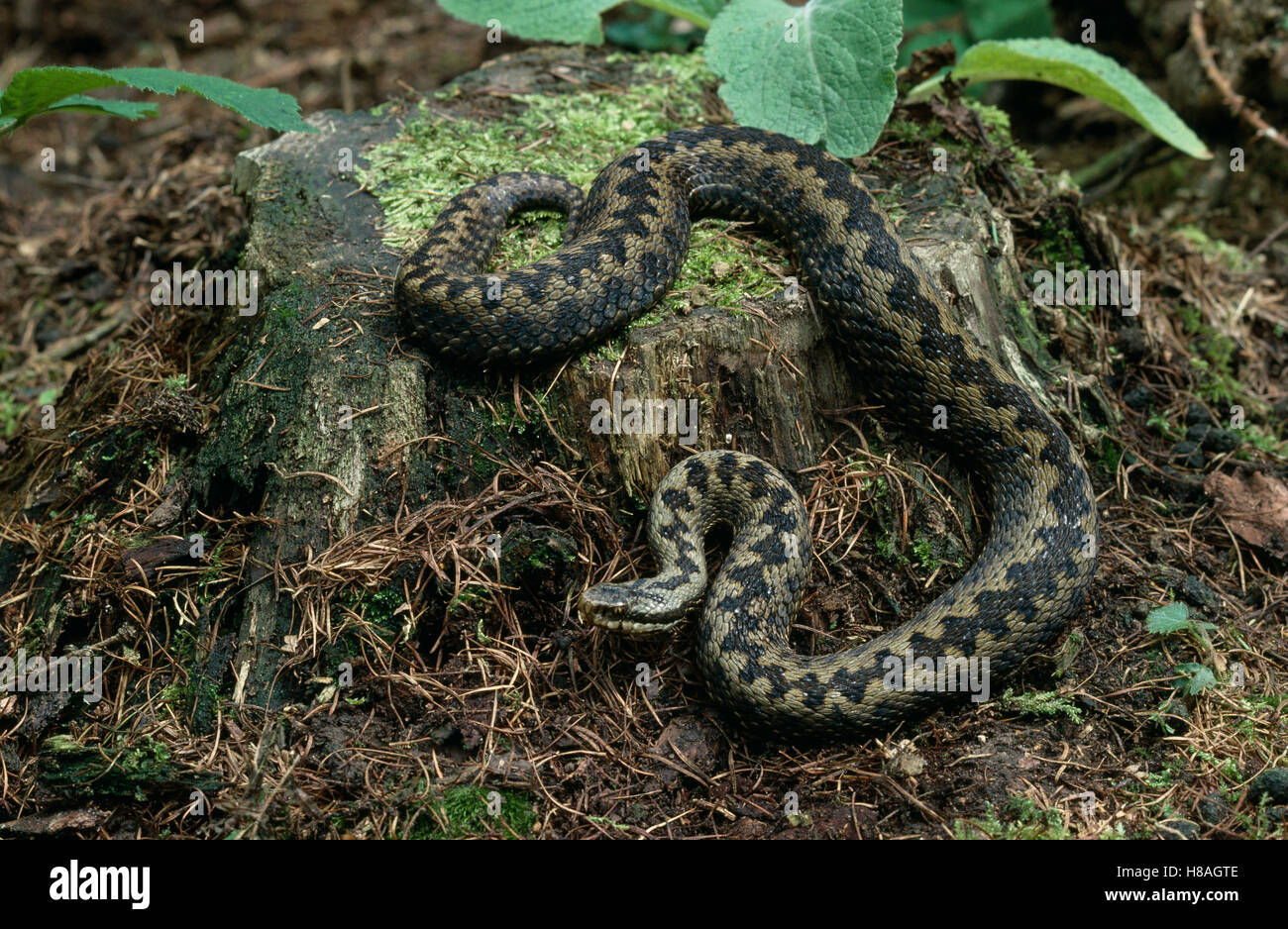 Full adder image hi-res stock photography and images - Alamy