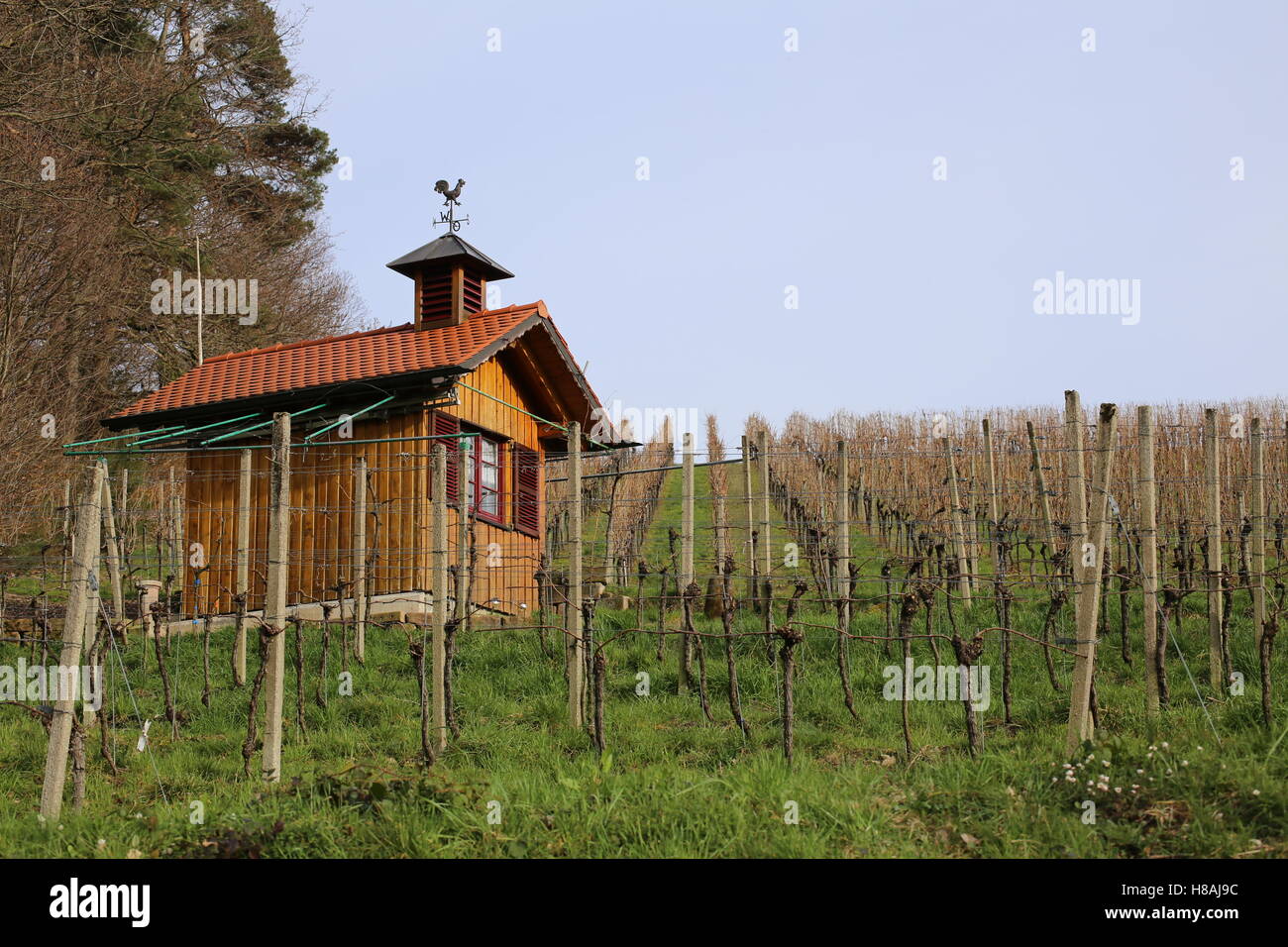 Baden baden germany hut hi-res stock photography and images - Alamy