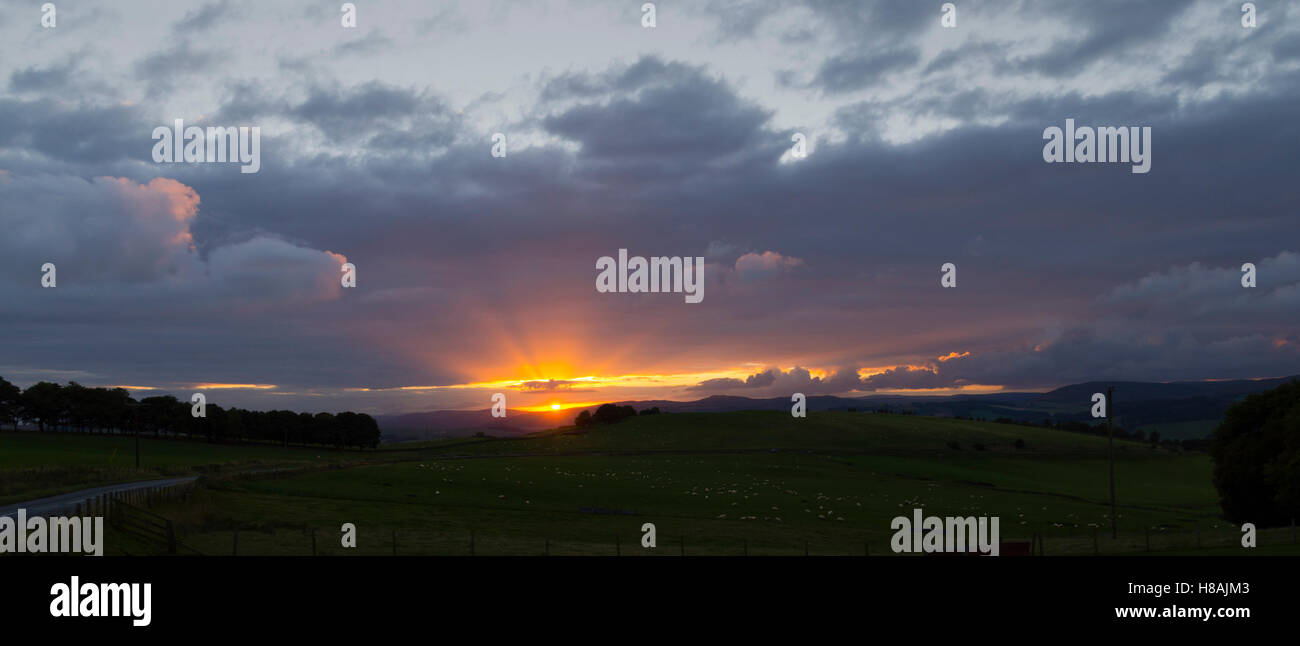 Scotland - sunset near Selkirk, Scottish Borders Stock Photo - Alamy