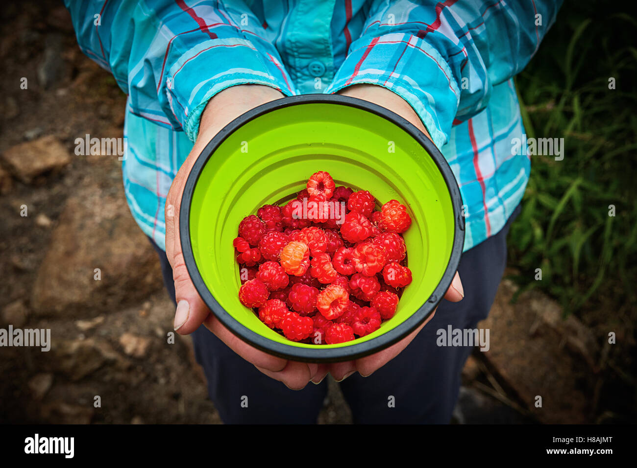 Woman holding wild raspberries Stock Photo - Alamy
