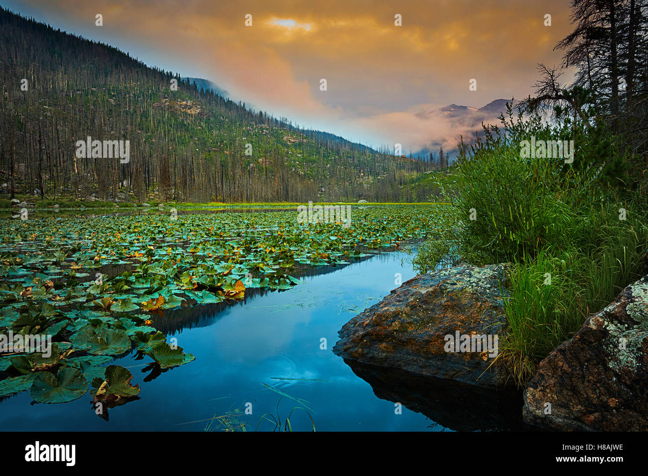 Sunrise from Cub Lake Stock Photo - Alamy