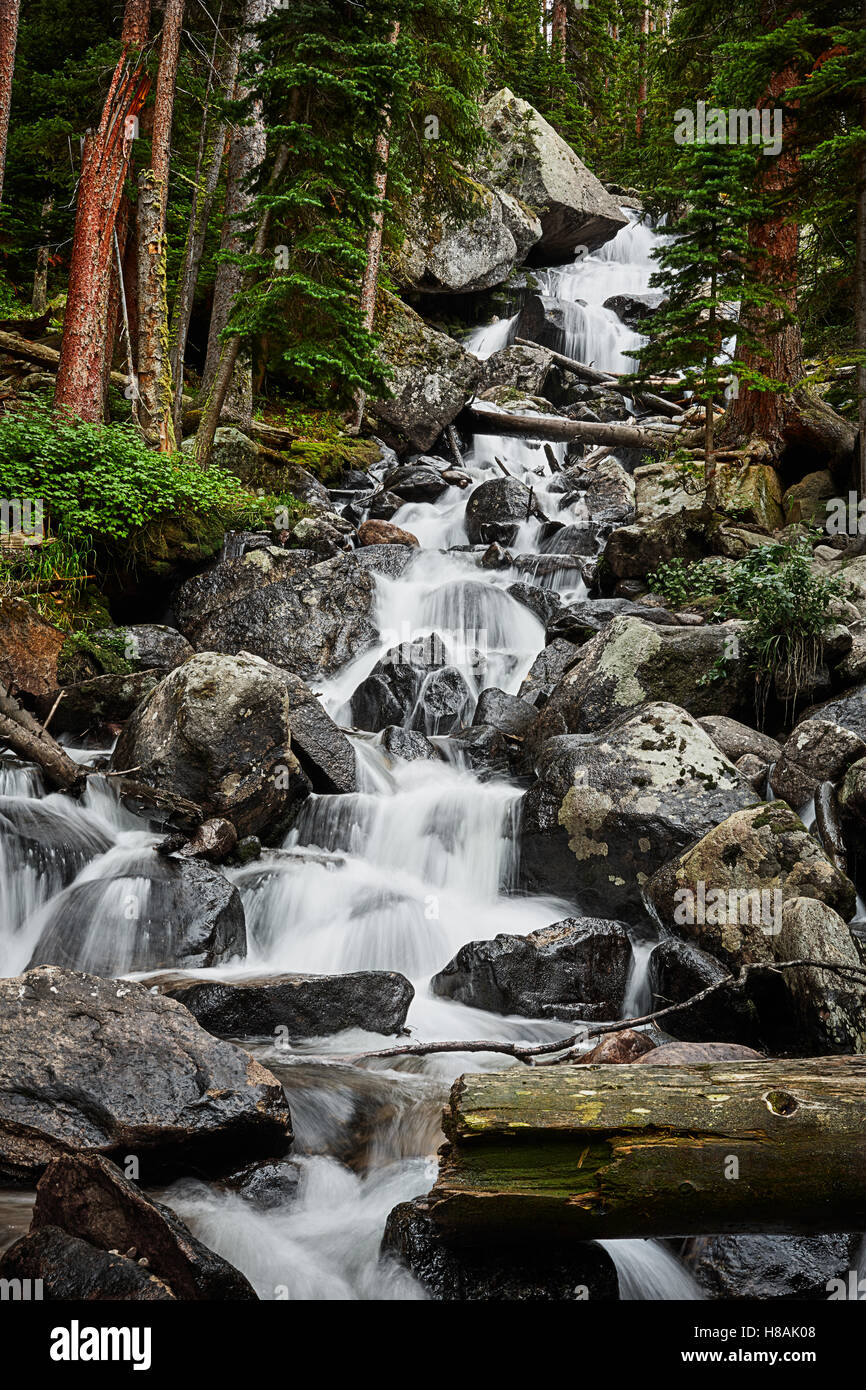 Calypso tent hi-res stock photography and images - Alamy