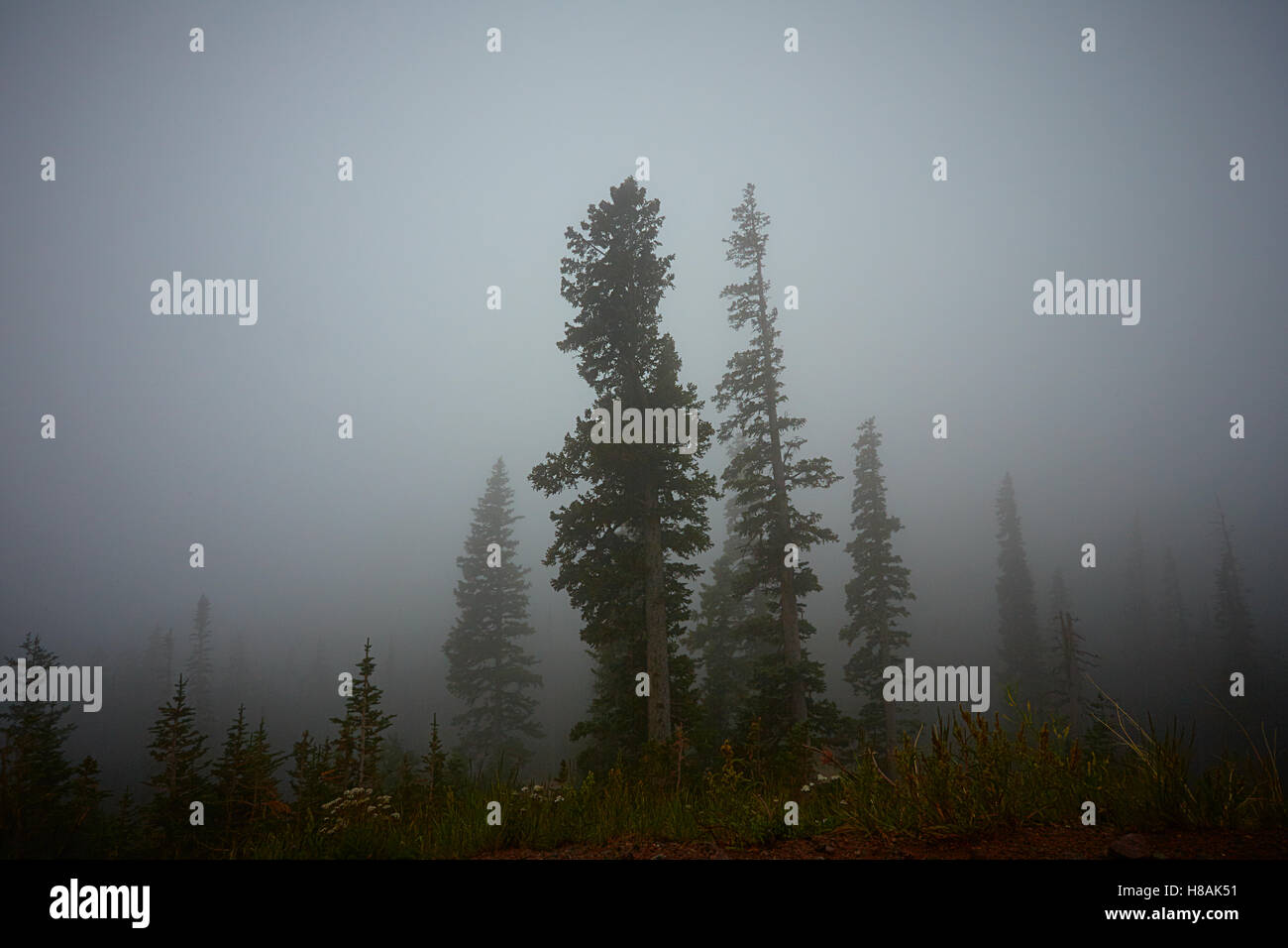 Holding back the fog hi-res stock photography and images - Alamy