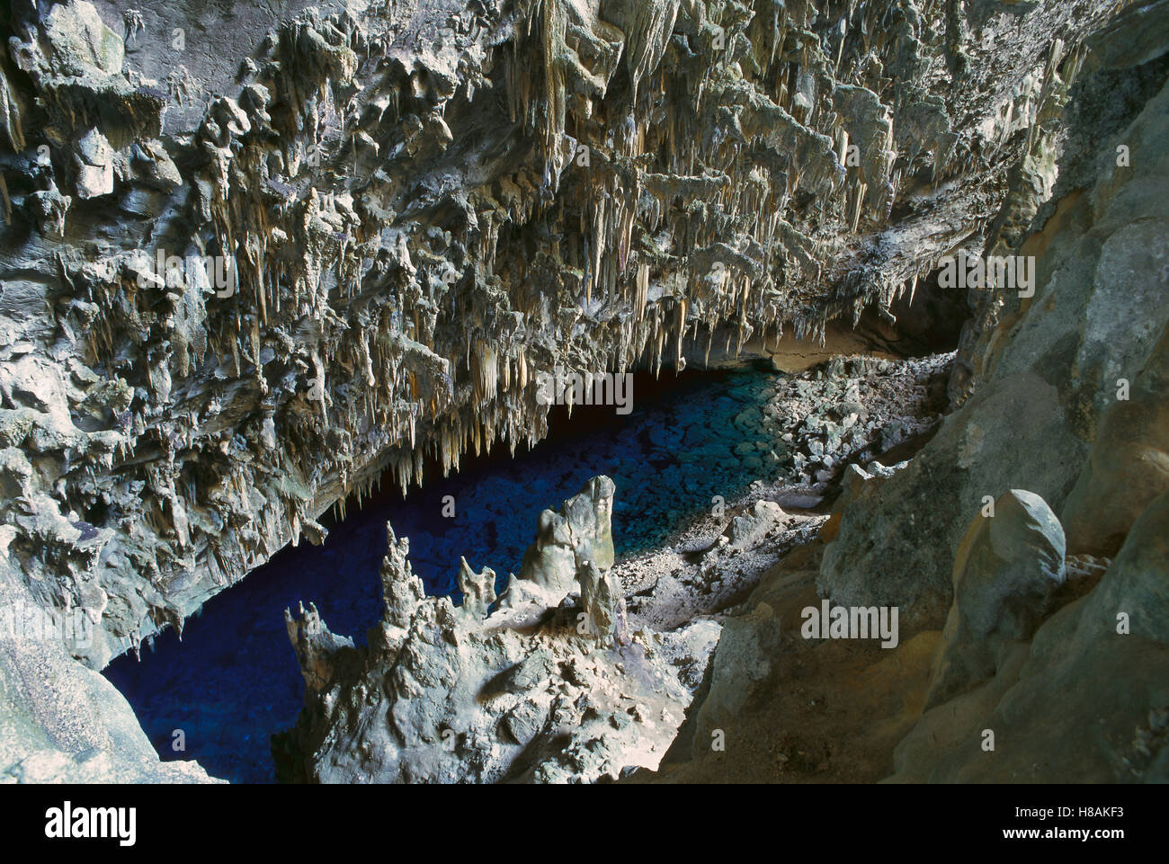 Blue Lake Cave, Cerrado Ecosystem, Mato Grosso Do Sul, Brazil Stock ...
