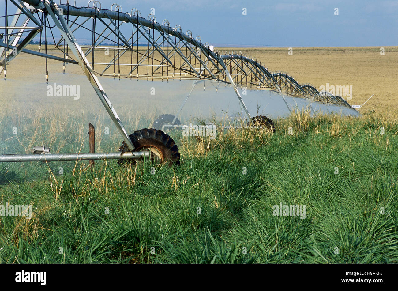 Mechanized farming equipment spraying water for cattle pasture, Brazil ...