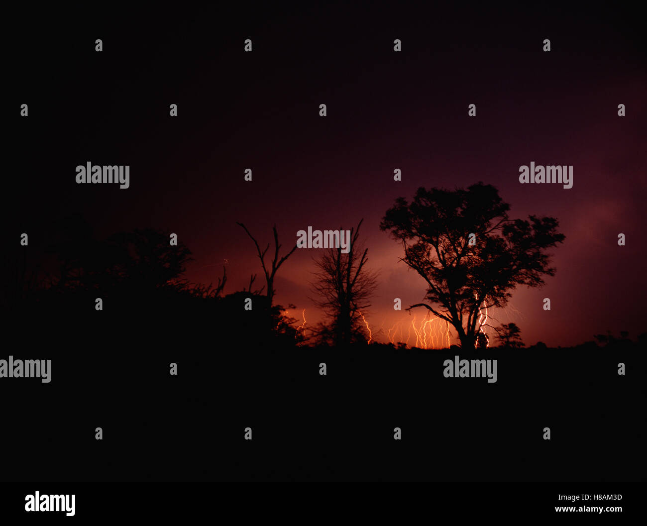 Kalahari thunder storm, Botswana Stock Photo - Alamy