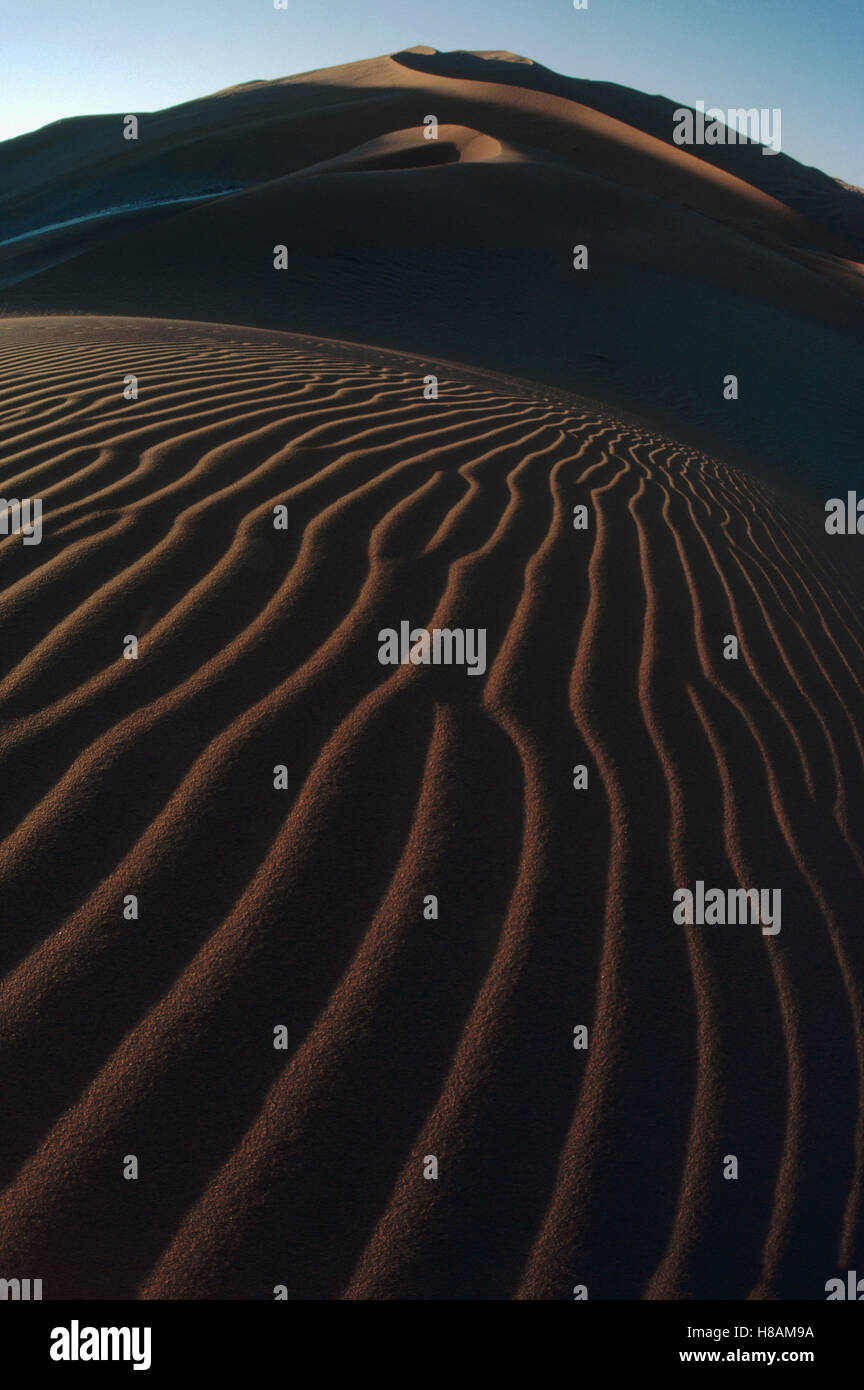 Namib Desert showing tallest sand dunes in the world, Namibia Stock Photo - Alamy