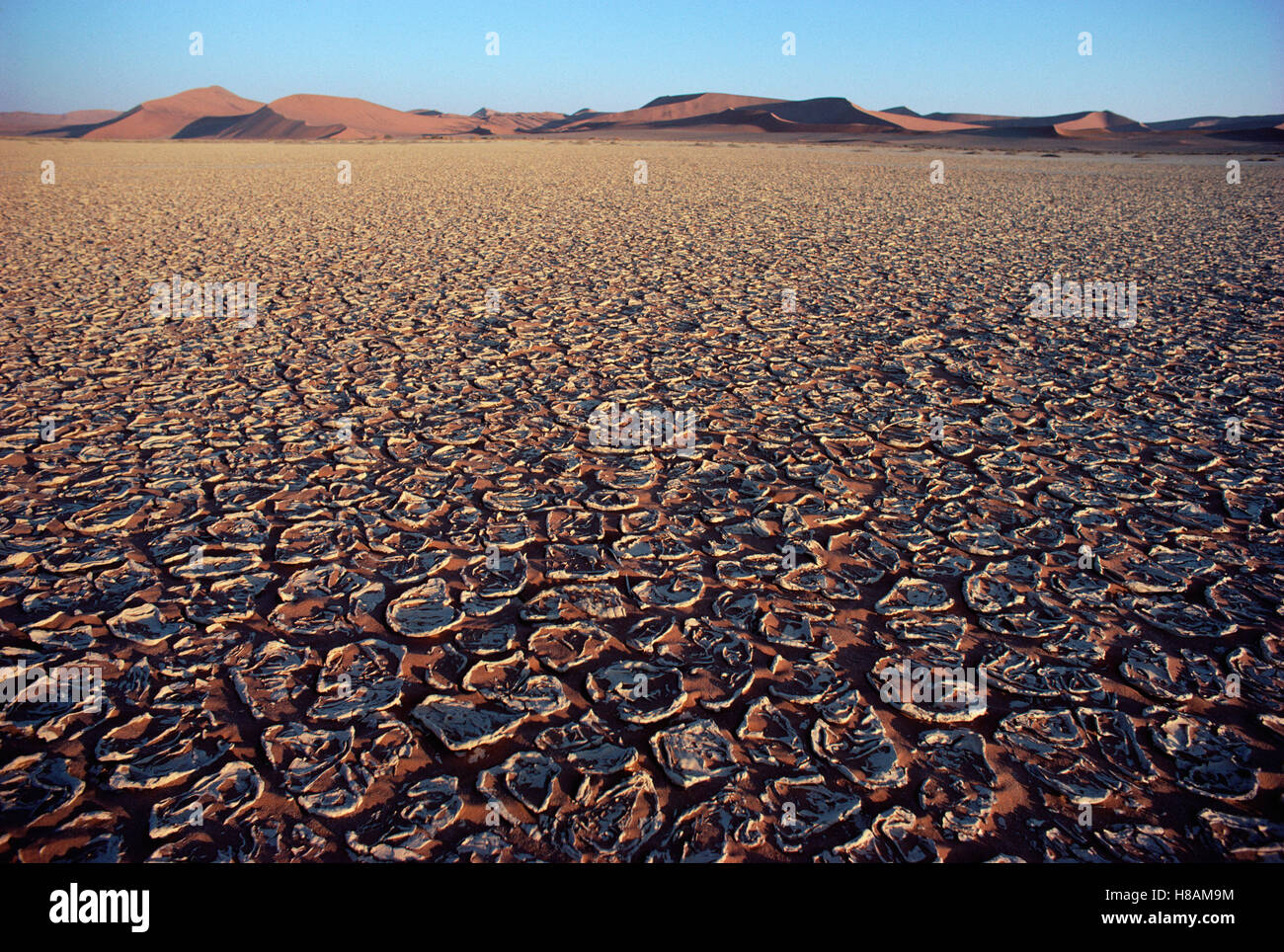 Cracked mud flat, Namib Desert, Namibia Stock Photo - Alamy