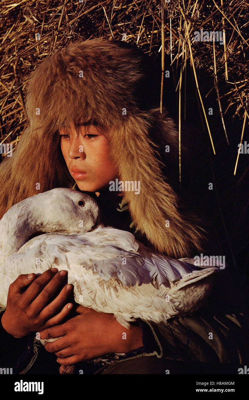 Domestic Goose held by child, China Stock Photo - Alamy