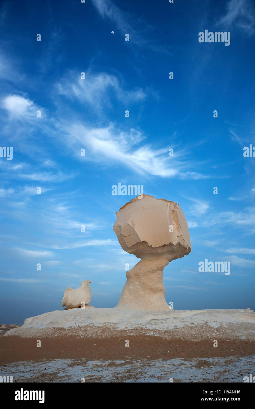 Limestone rock formations, White Desert National Park, Libyan Desert ...