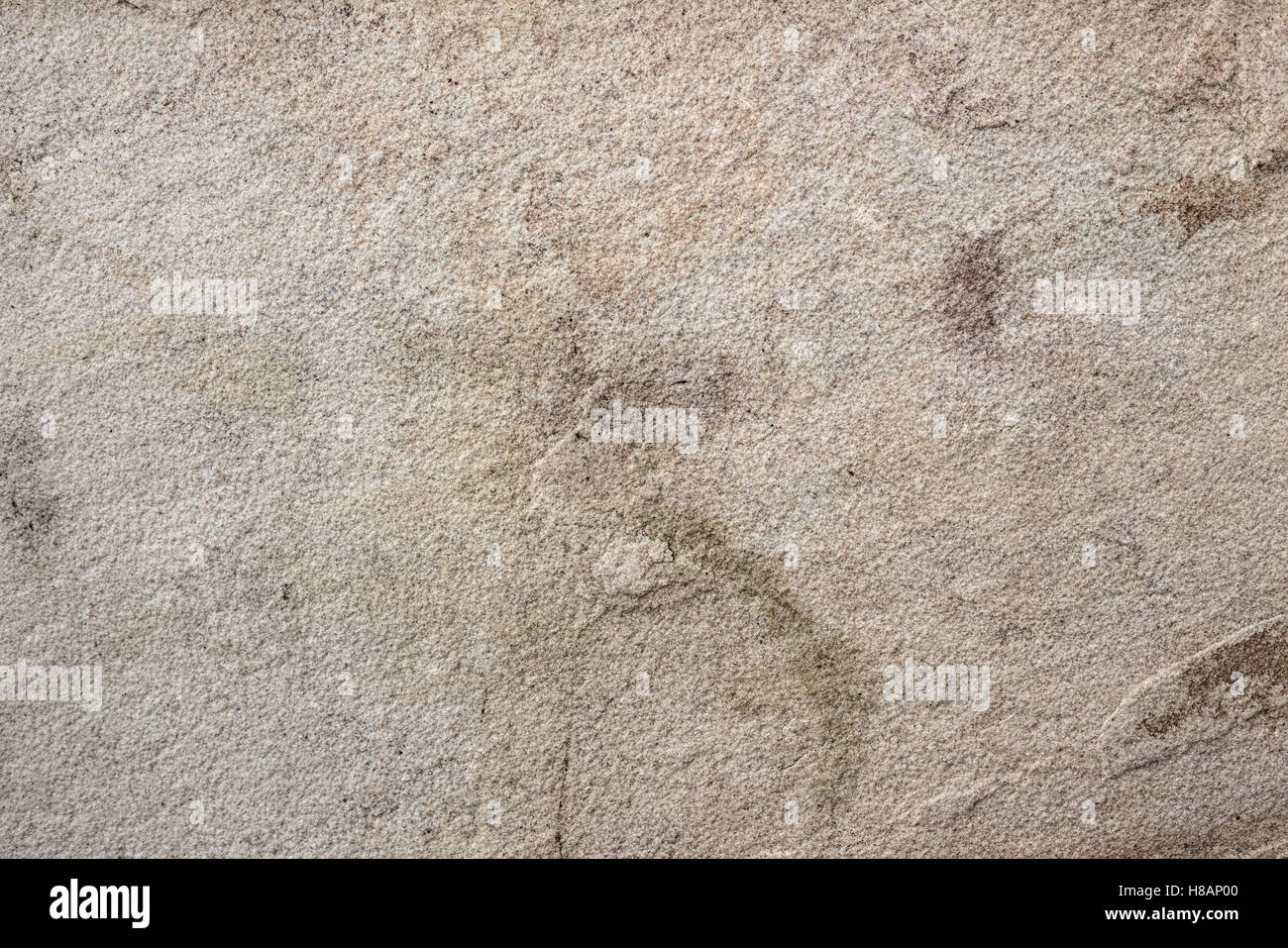 Macro shot of an architectural stoneware texture Stock Photo - Alamy