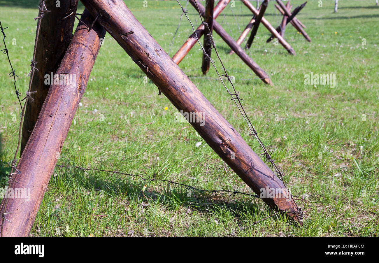 Hedgehog with barbed wire Stock Photo - Alamy