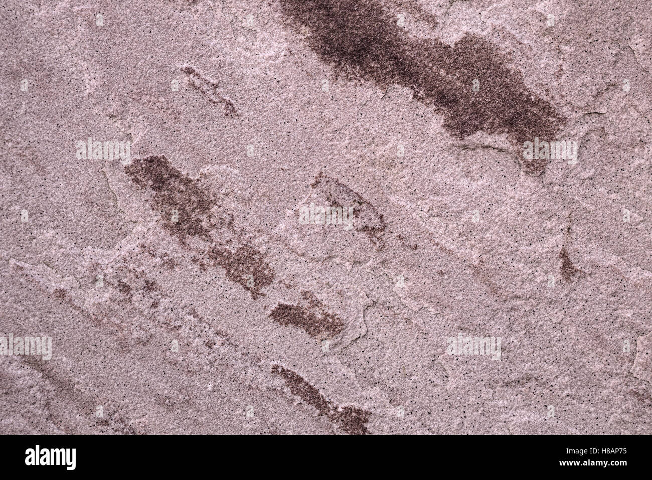 Macro shot of an architectural freestone texture Stock Photo - Alamy